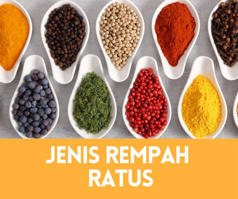 (2025) Jenis-Jenis Rempah Ratus dan Kegunaannya • Aneka Resepi