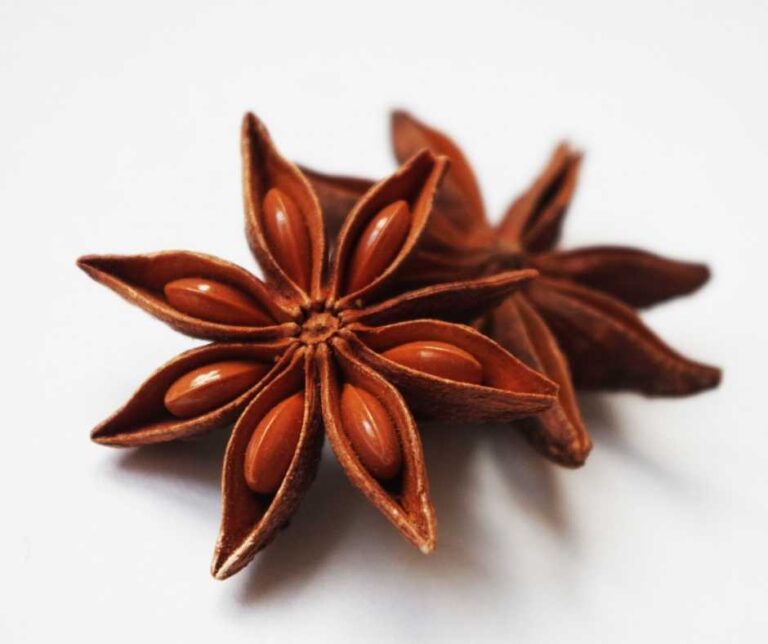 (2025) Jenis-Jenis Rempah Ratus dan Kegunaannya • Aneka Resepi