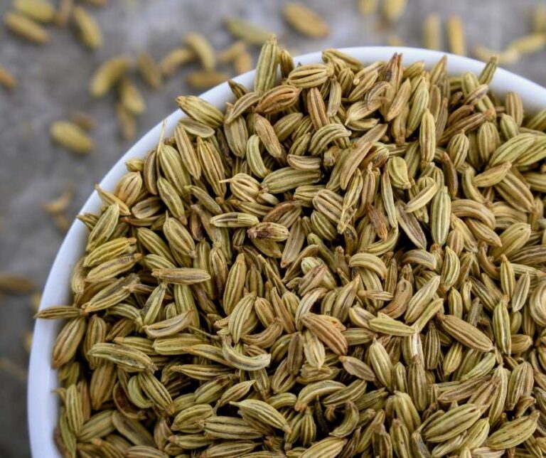 (2025) Jenis-Jenis Rempah Ratus dan Kegunaannya • Aneka Resepi